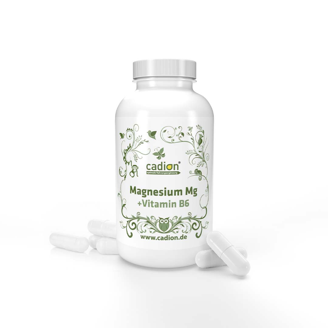 Magnesium + Vitamin B6 (270 Stück) – Cadion