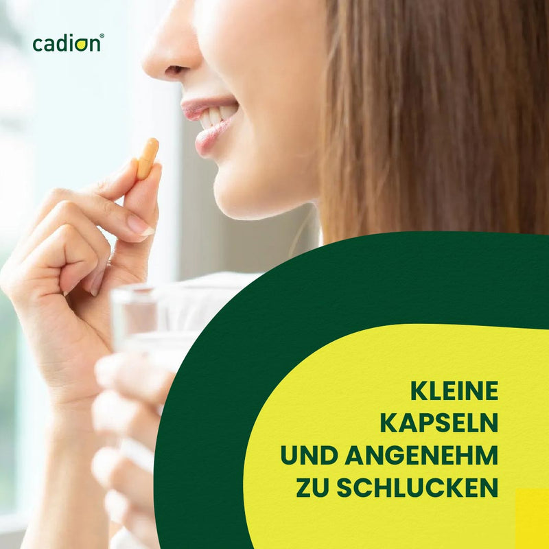 Magnesium + Vitamin B6 (270 Stück) – Cadion